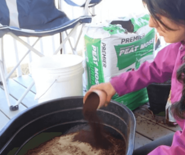 Soil Blocking: The Ultimate Guide for Beginners - The Homestead Nurse