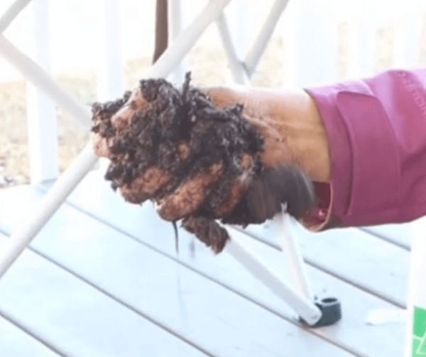 Soil Blocking: The Ultimate Guide for Beginners - The Homestead Nurse