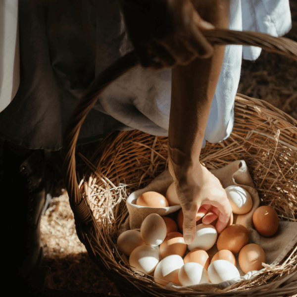 Simple 25 Clean living Tips for a Healthy Lifestyle - The Homestead Nurse