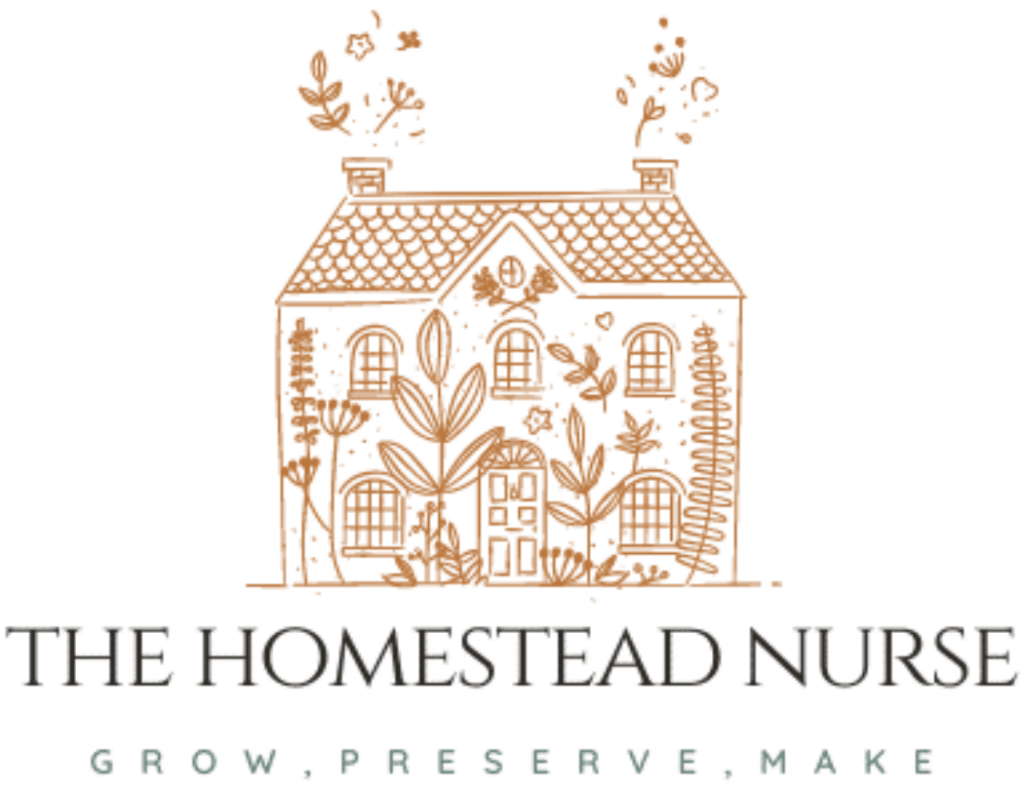 Setting Homestead Goals | THE FIRST YEAR - The Homestead Nurse